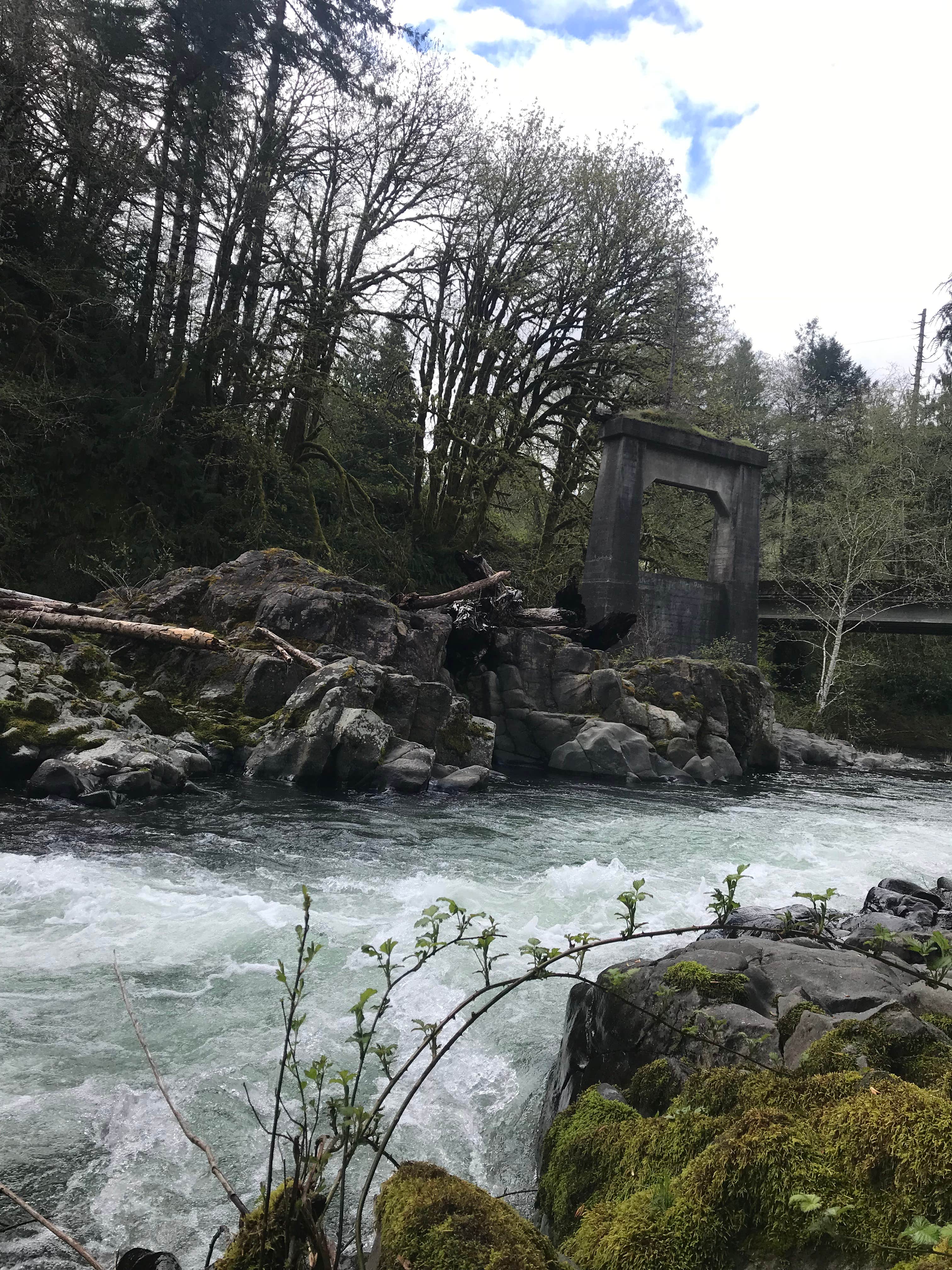 Trask River County Park Camping | Tillamook, OR