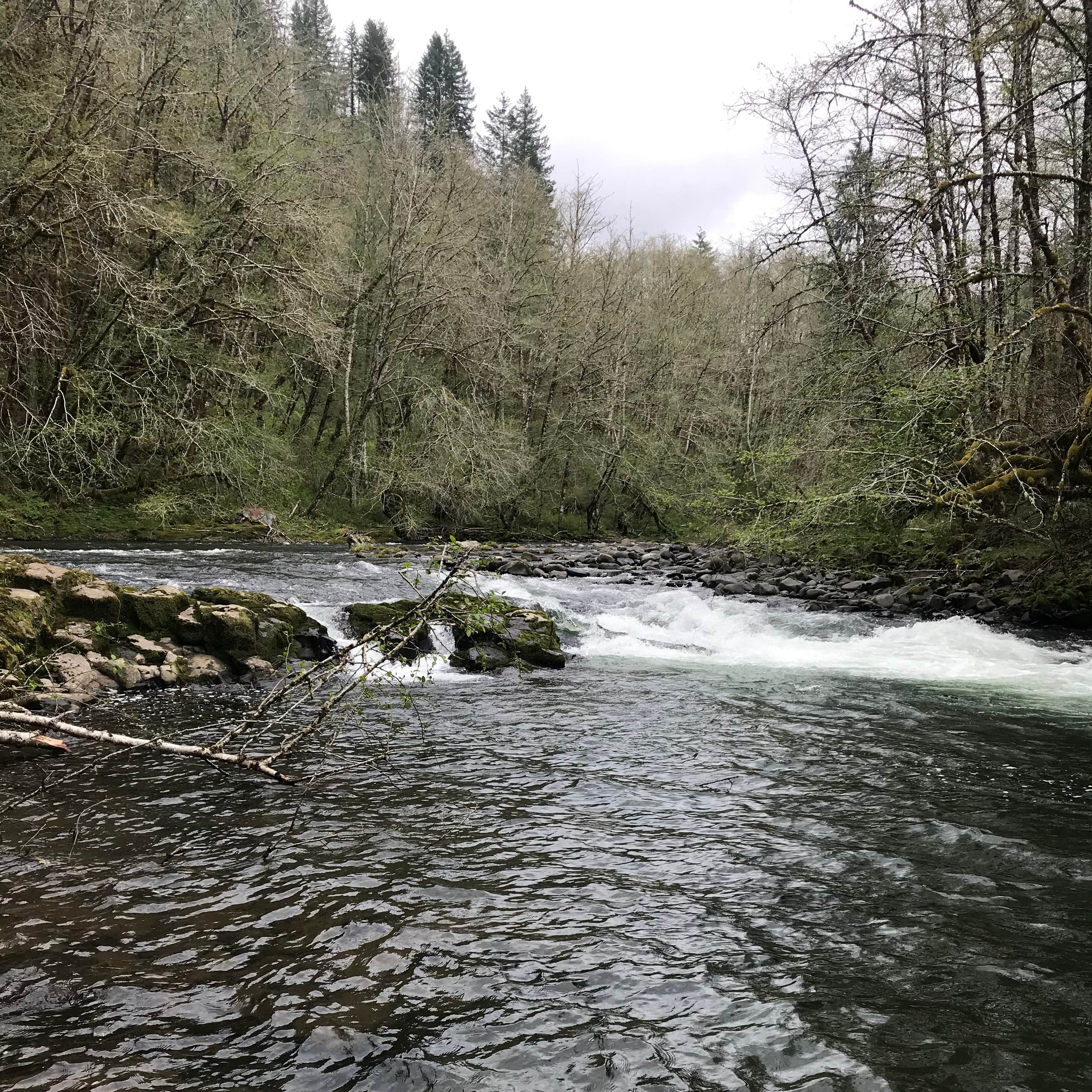 Trask River County Park Camping | The Dyrt