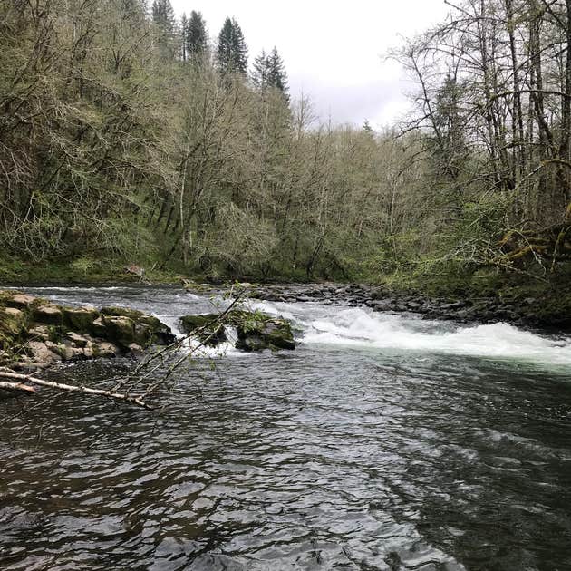 Trask River County Park Camping | The Dyrt