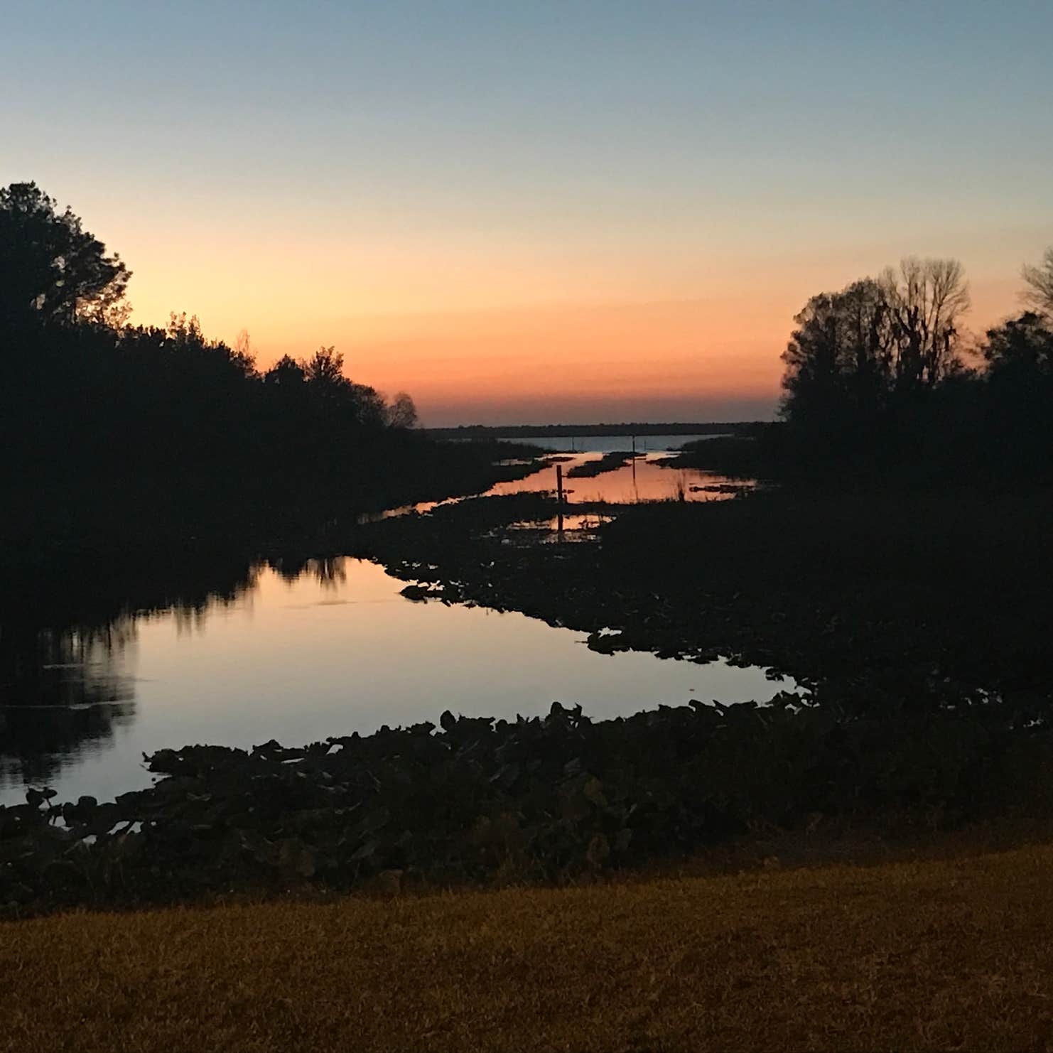 Rodman Campground Camping | Palatka, FL | The Dyrt