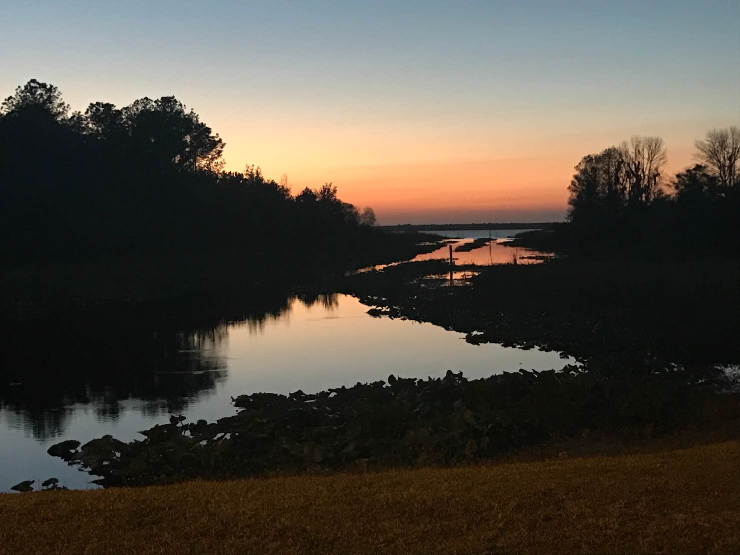 Rodman Campground | The Dyrt