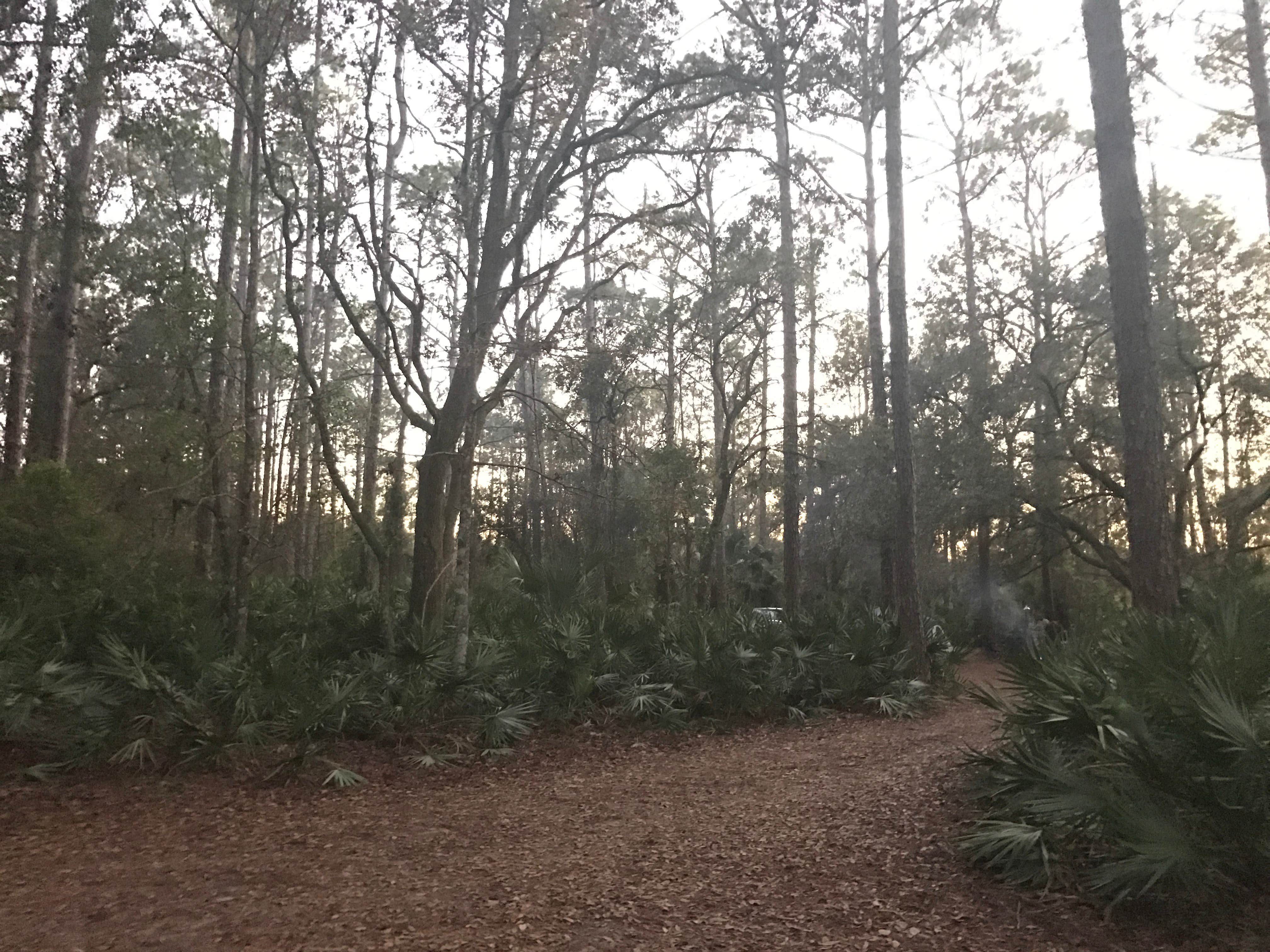Rodman Campground | Palatka, FL