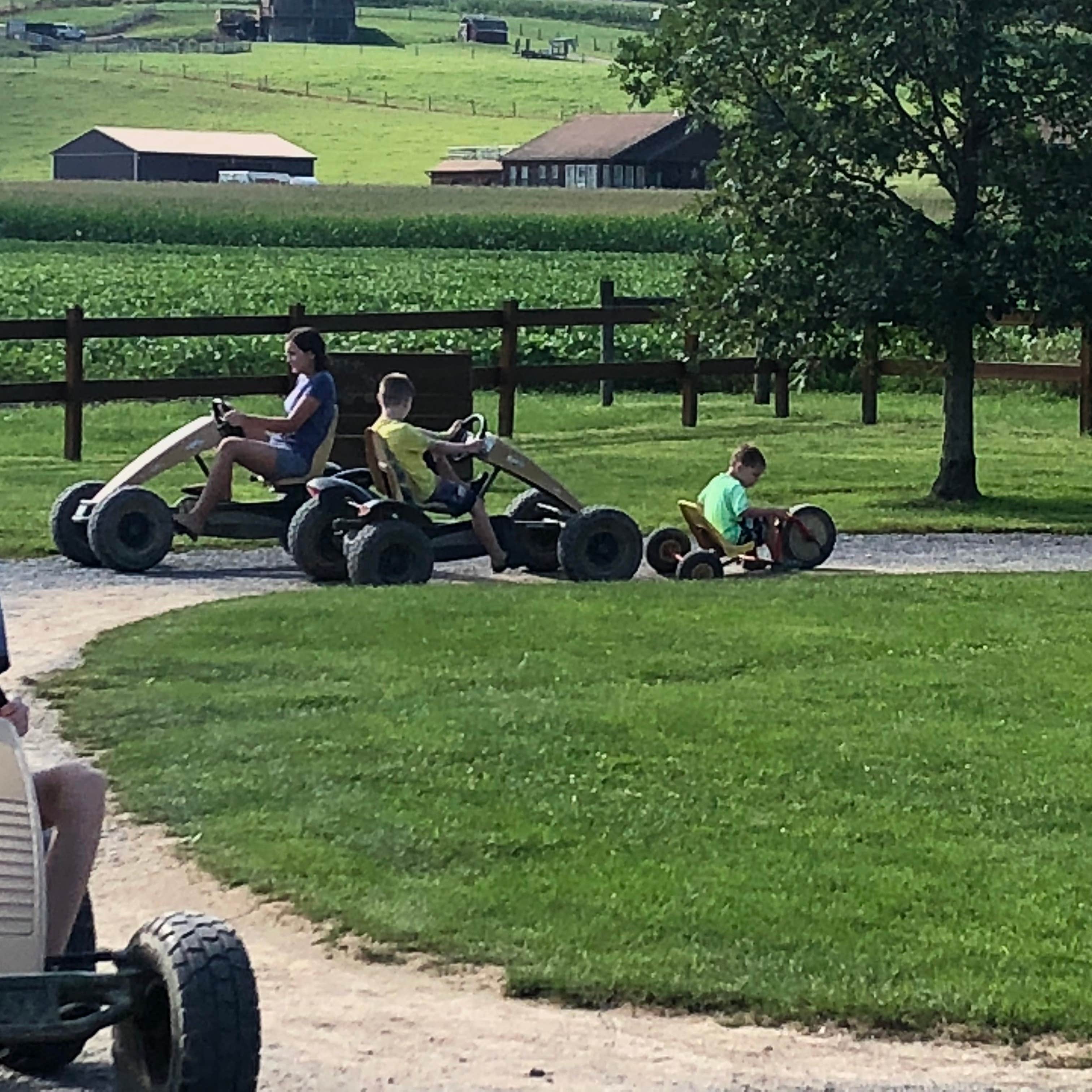 Buttonwood Campground Camping | Mifflintown, PA | The Dyrt