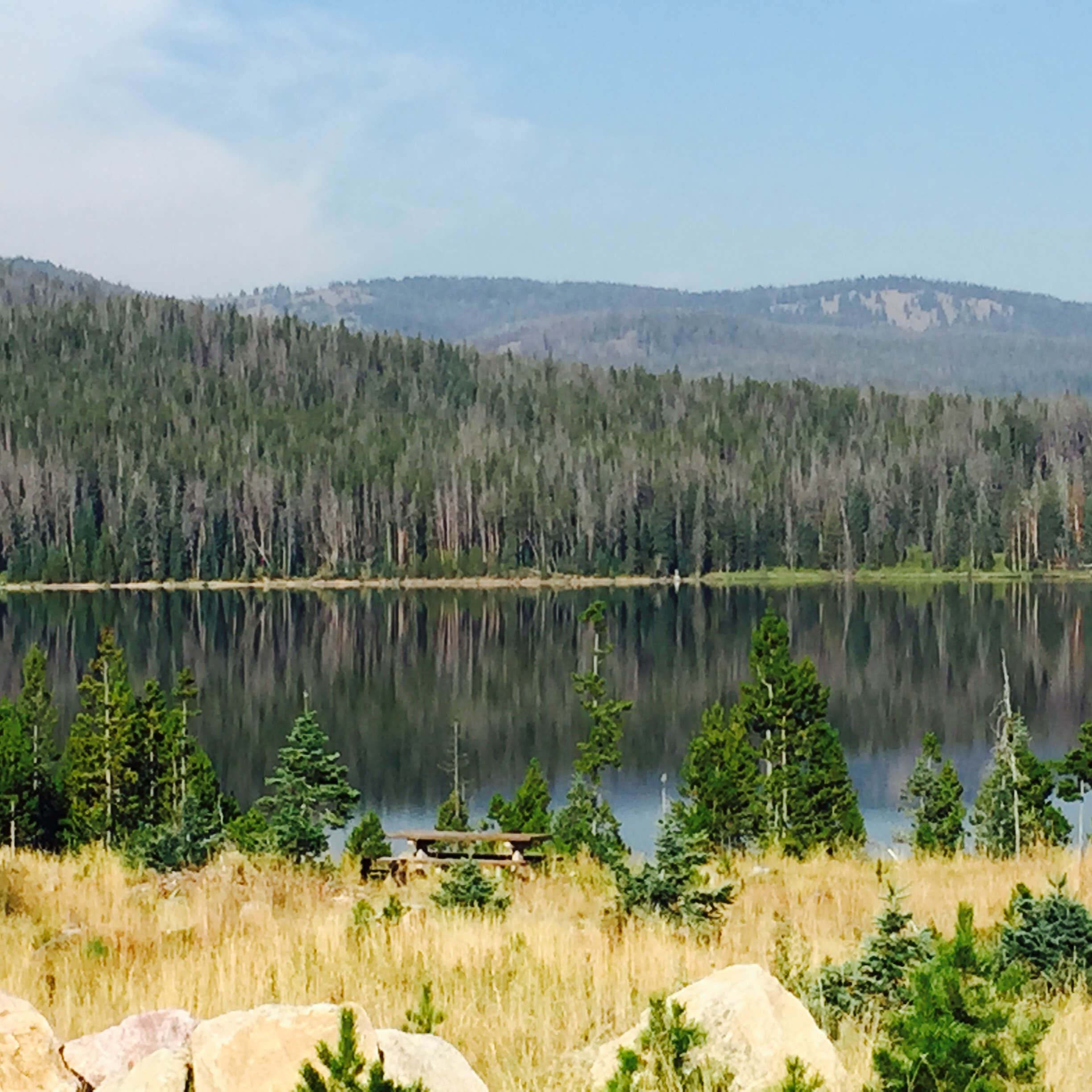 Hog Park Campground Camping | The Dyrt