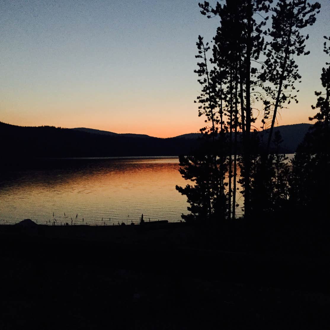 Hog Park Campground Camping | The Dyrt