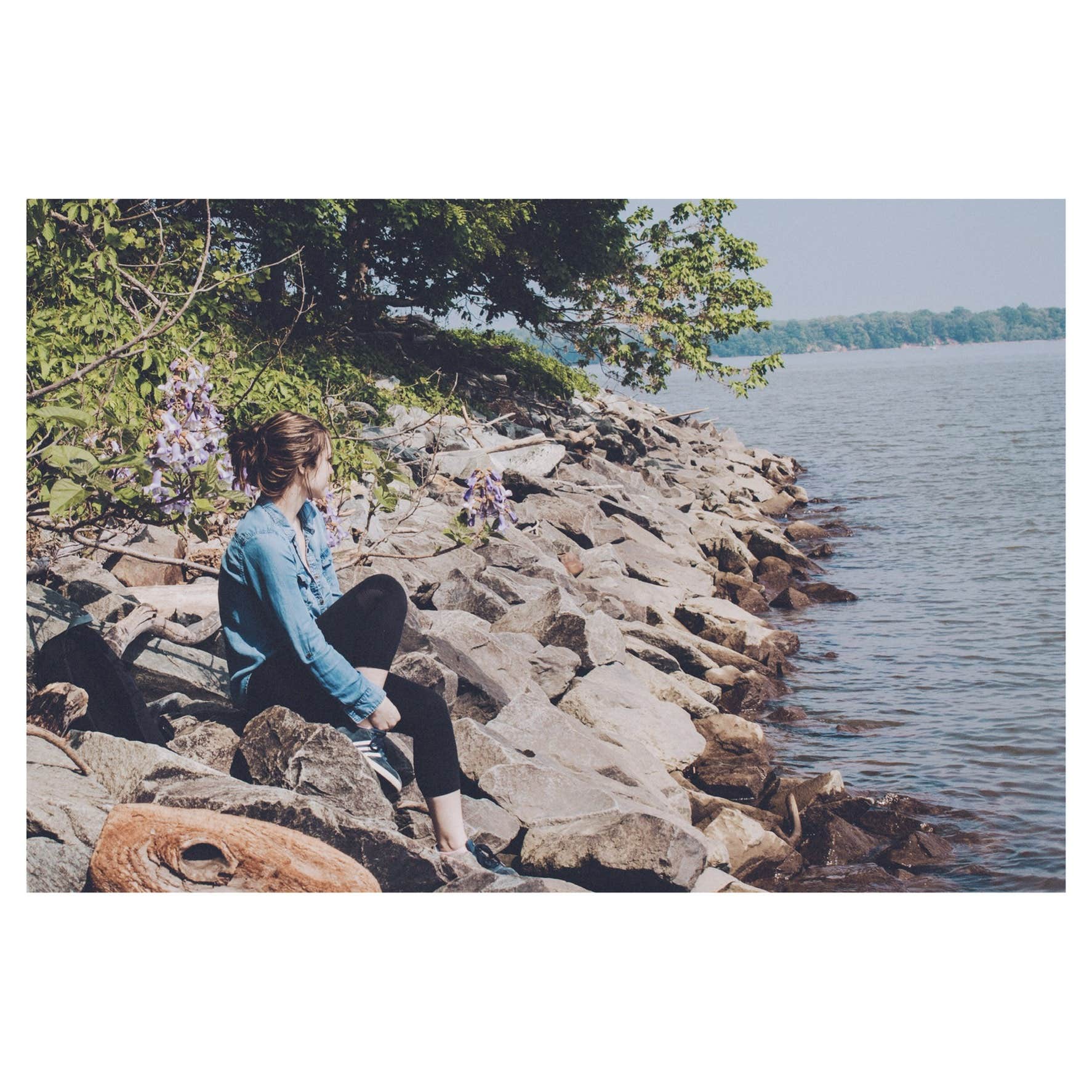 Elk Neck State Park Campground | North East, MD