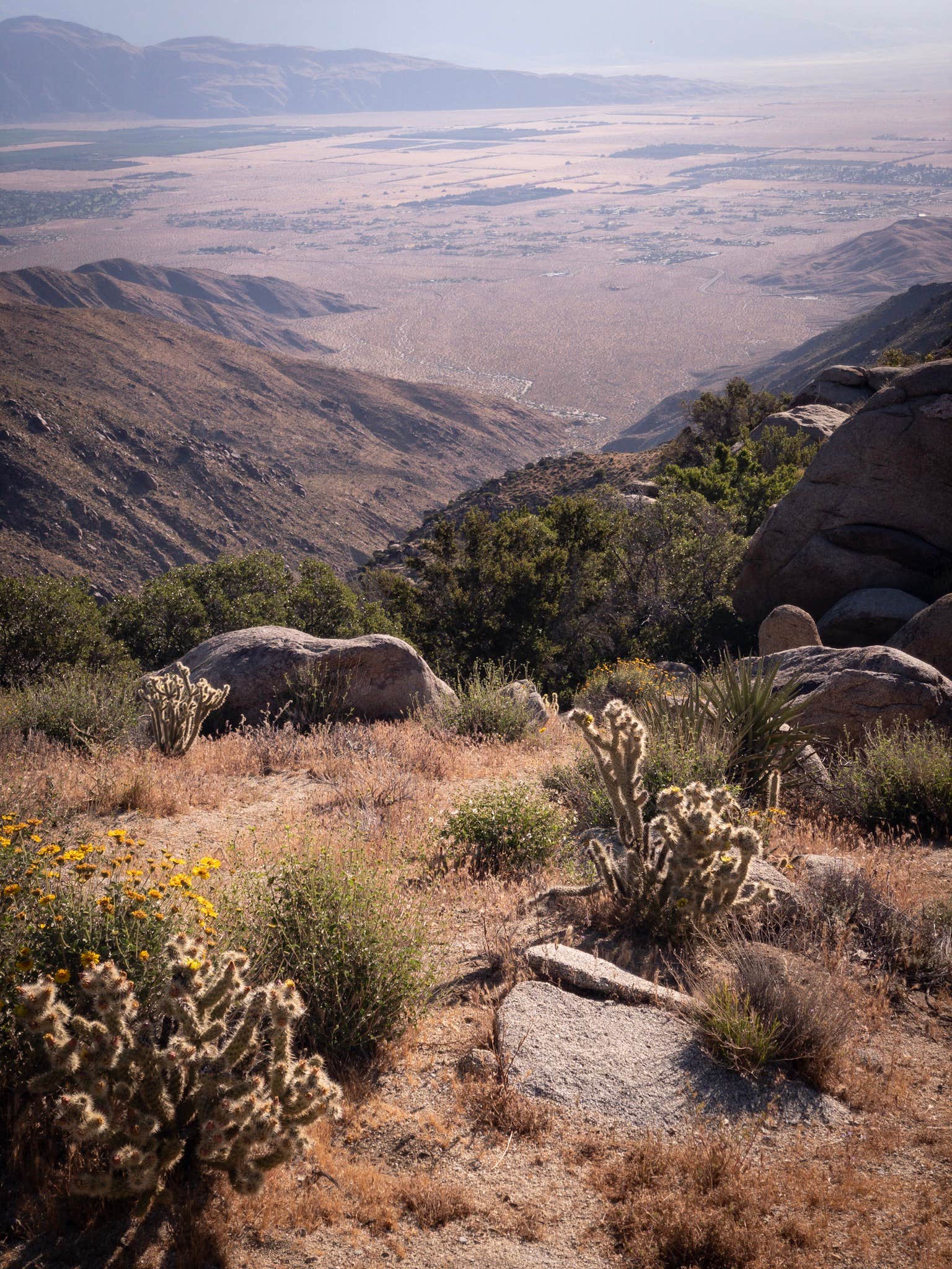Culp Valley Primitive Campground — Anza-Borrego Desert State Park ...