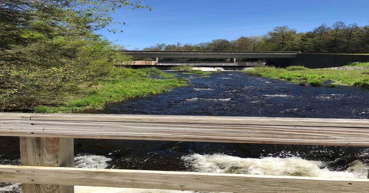 Deerfield Campground — Promised Land State Park | Skytop, PA