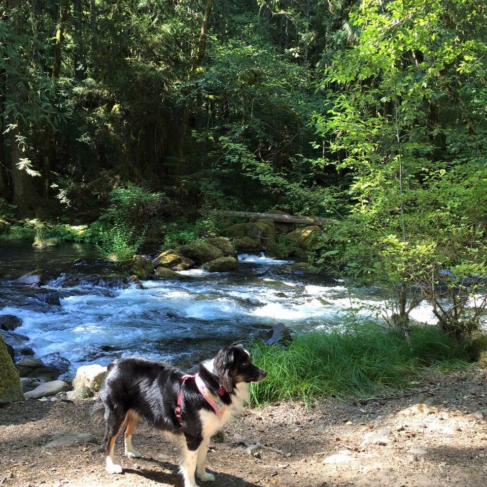 Ripplebrook Campground CLOSED INDEFINITELY DUE TO FIRE | Welches, OR
