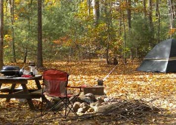 Rustic Acres RV Resort & Campground Camping | The Dyrt