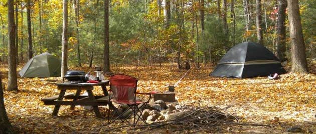 Rustic Acres RV Resort & Campground Camping | The Dyrt