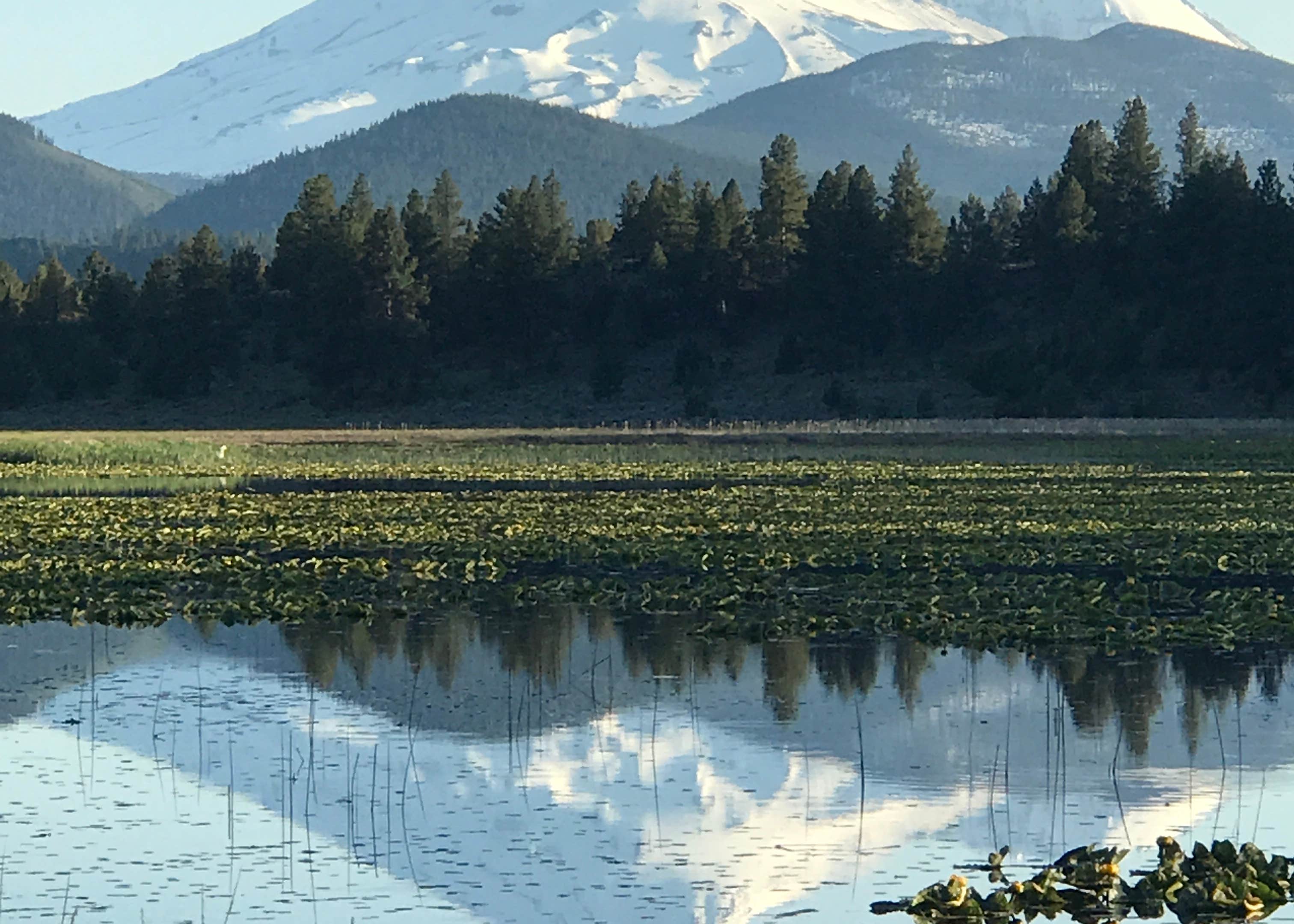 Orr Lake Campground Camping | The Dyrt