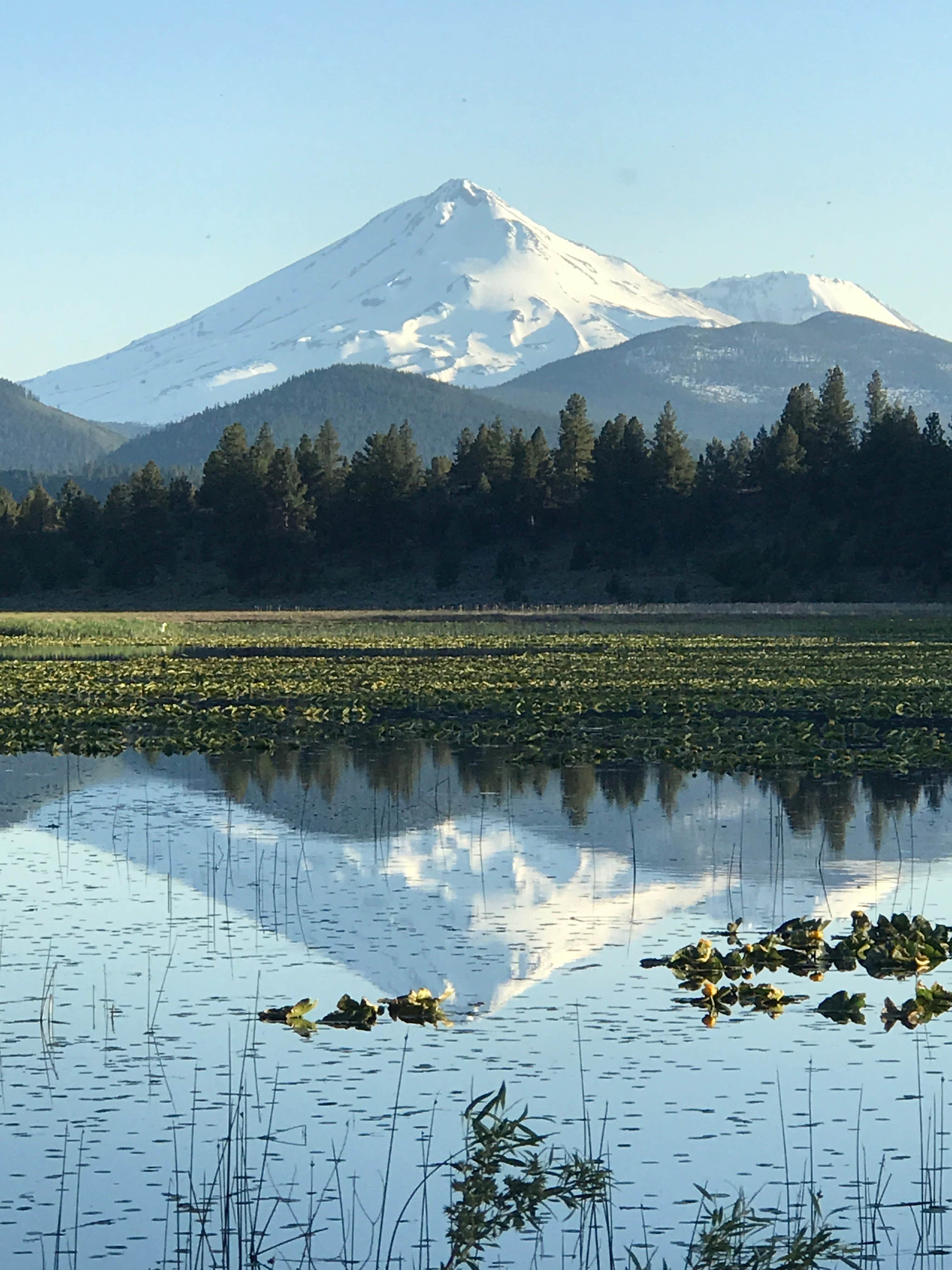 Orr Lake Campground Camping | The Dyrt
