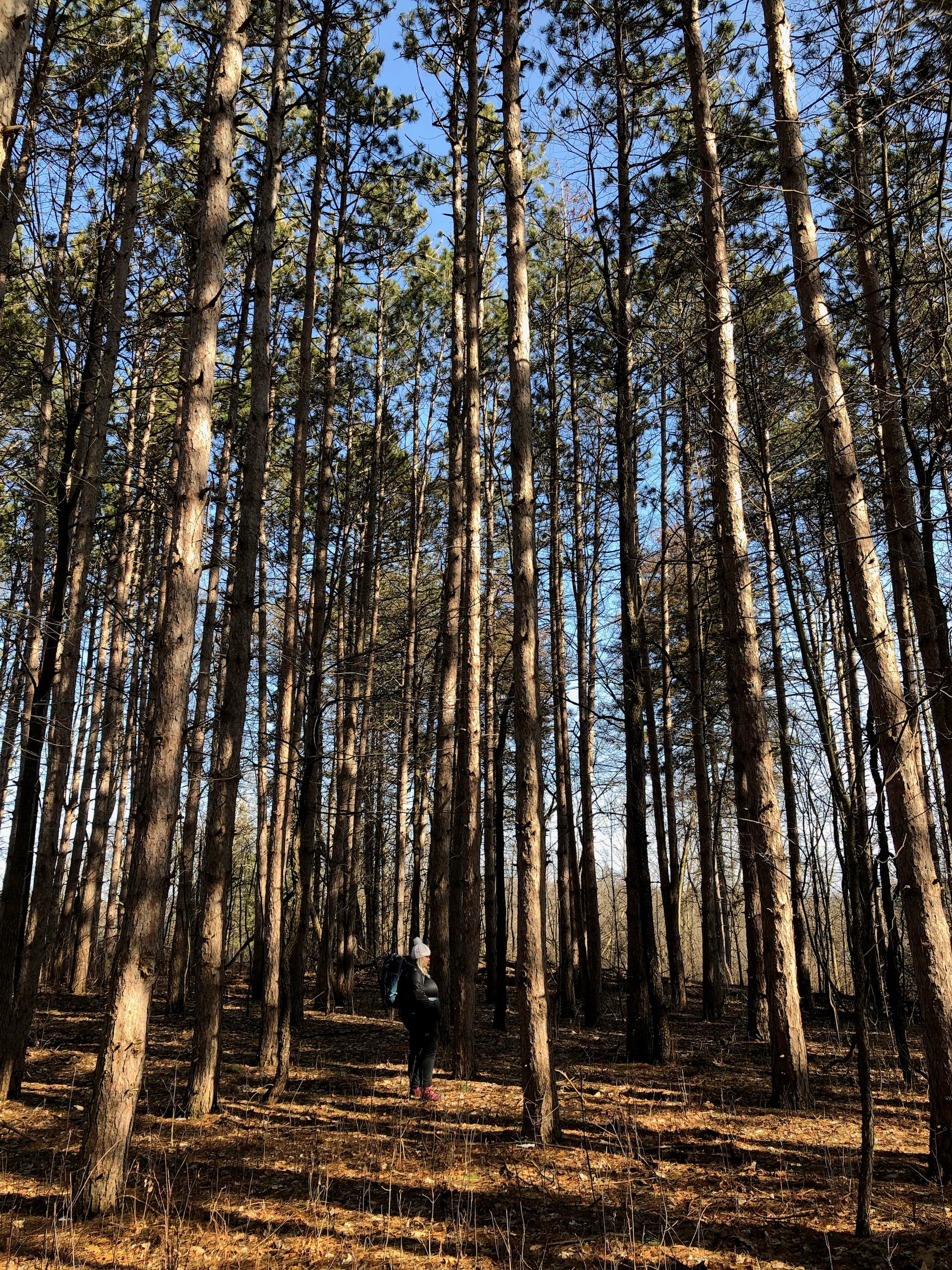 Seven Lakes State Park Campground | Holly, Michigan