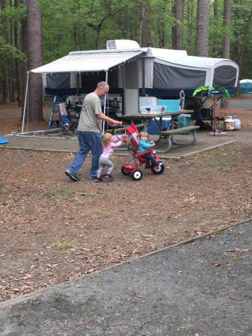 Martinak State Park Camping | The Dyrt