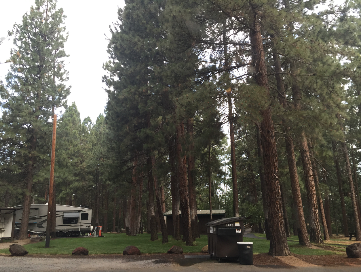 Creekside Sisters City Park Camping | Sisters, OR