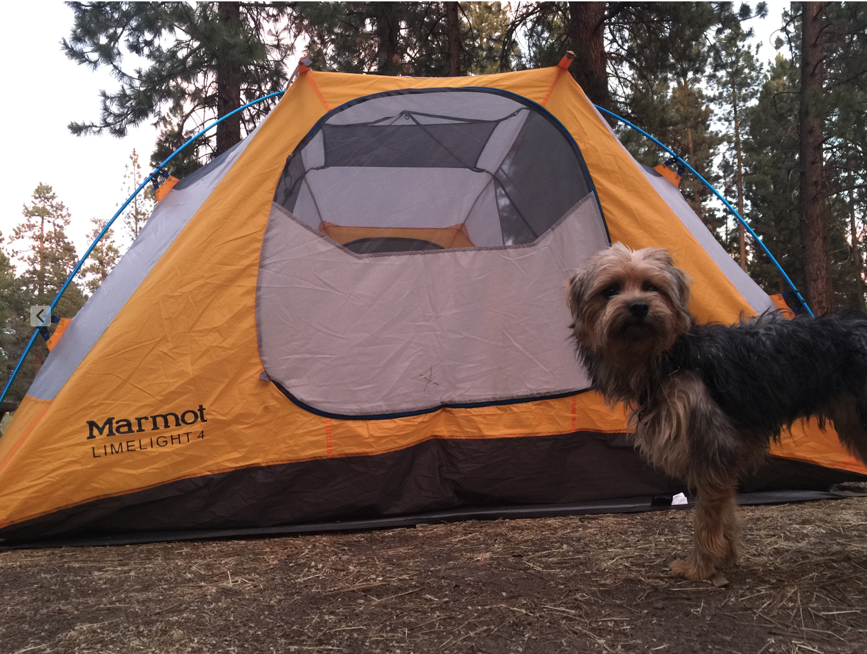 Creekside Sisters City Park Camping | Sisters, OR