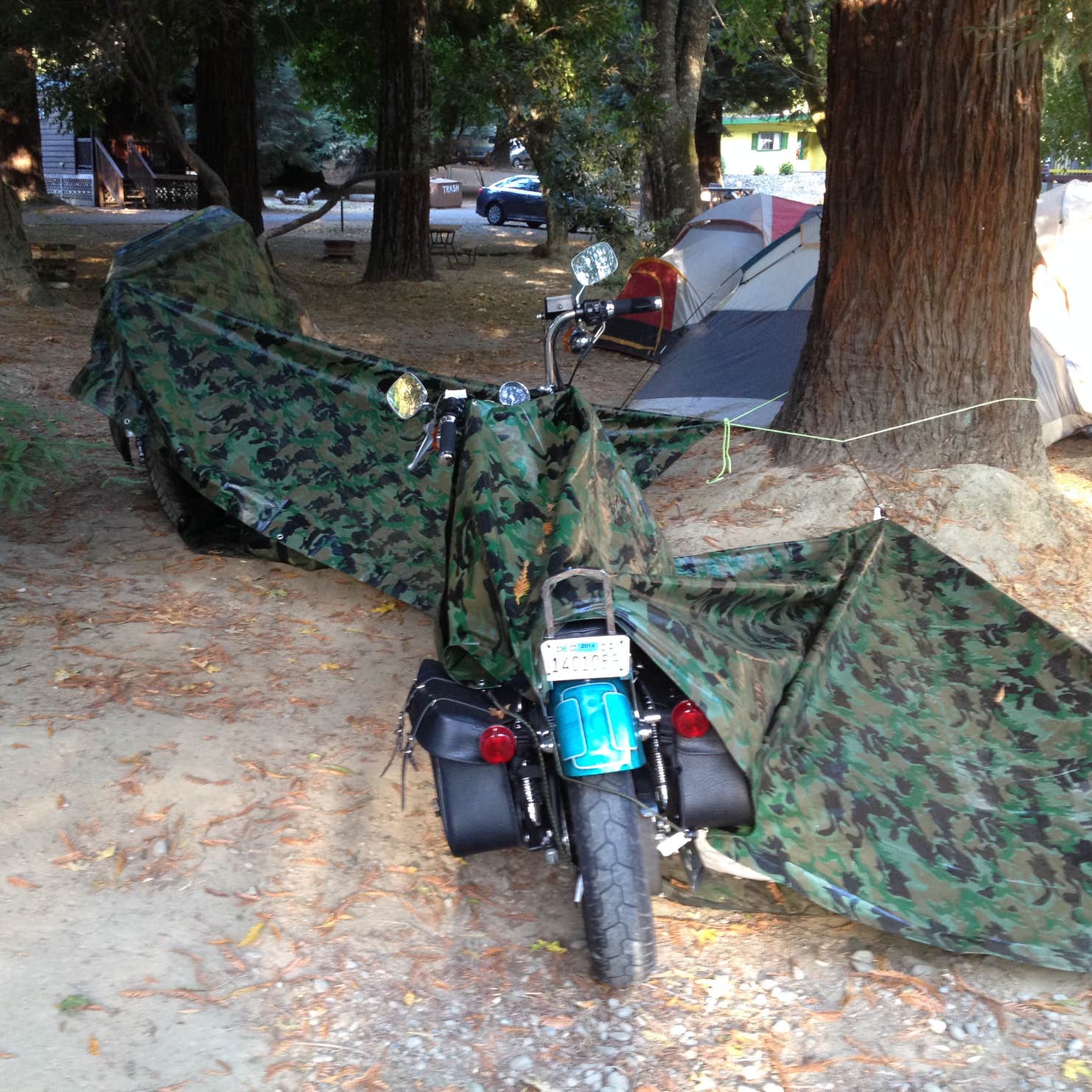 Dean Creek Resort Camping | Redway, CA