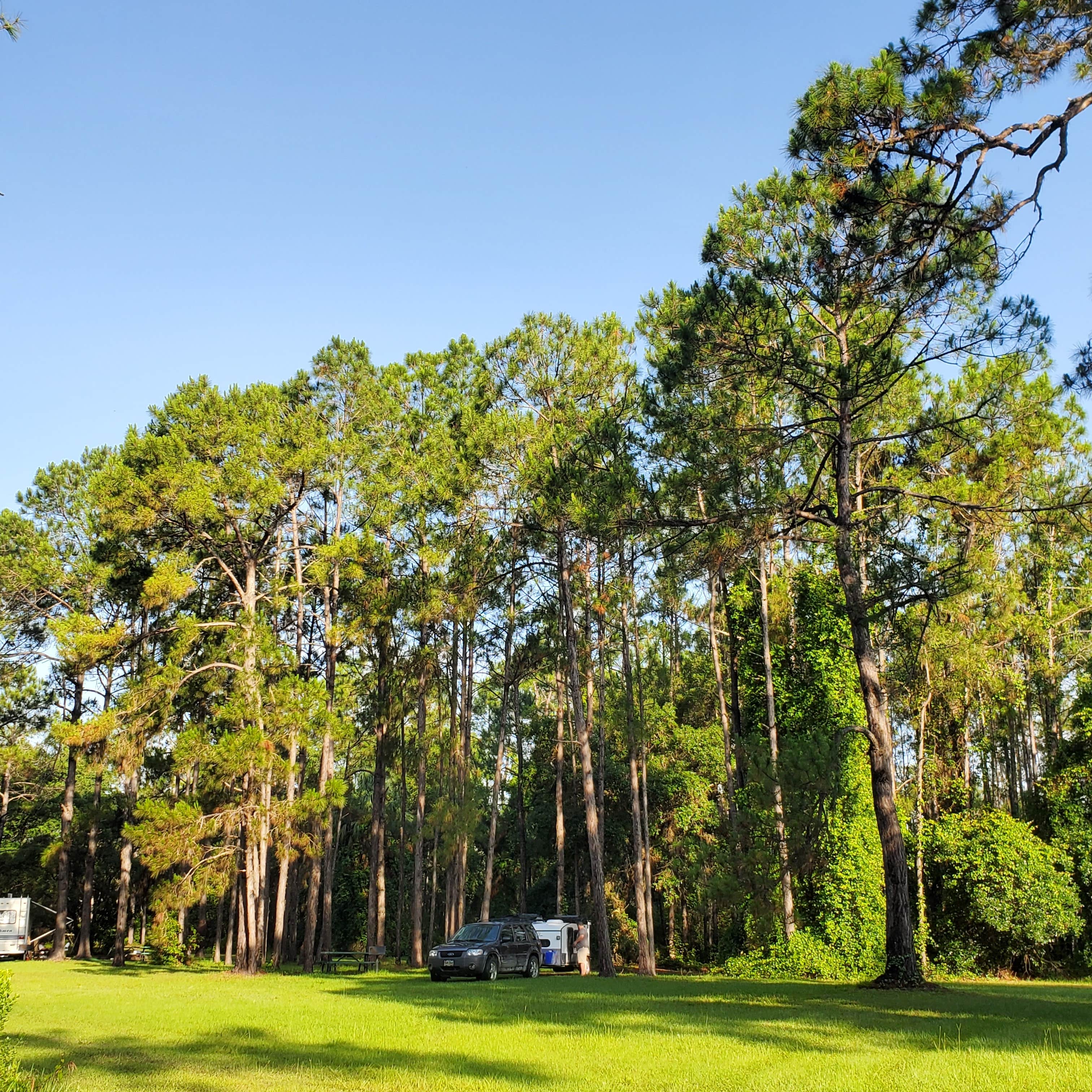 Potts Preserve Camping | The Dyrt