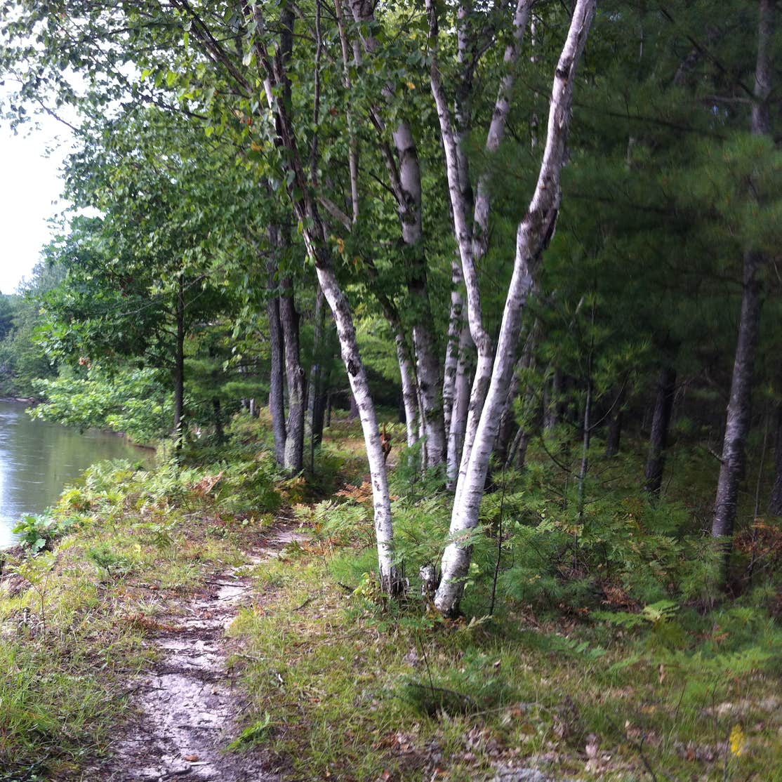 Huron-Manistee National Forest Camping | Brethren, Michigan