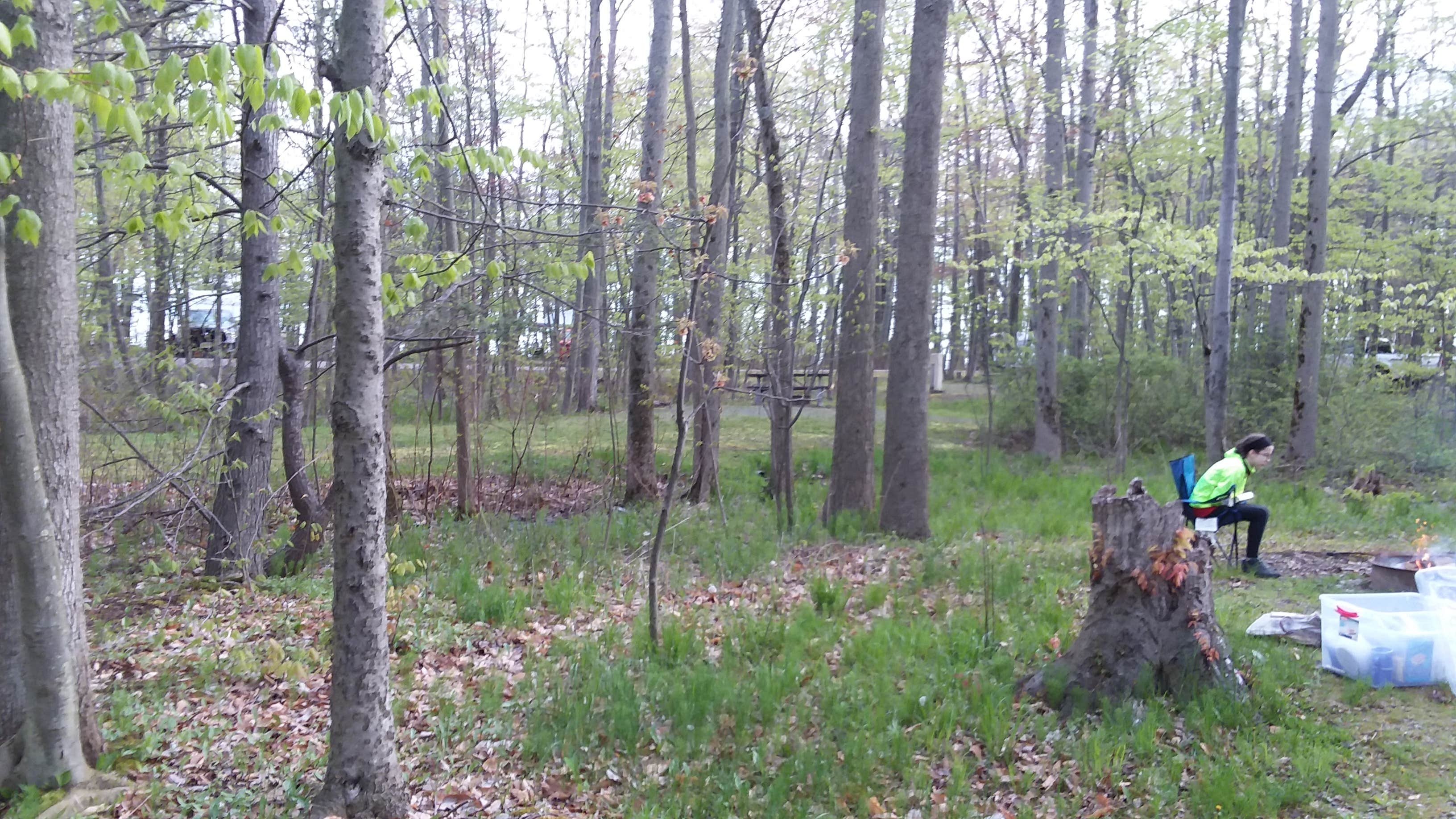 Lakeside State Park Campground | Albion, New York