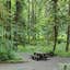 Turlo Campground | Granite Falls, Washington