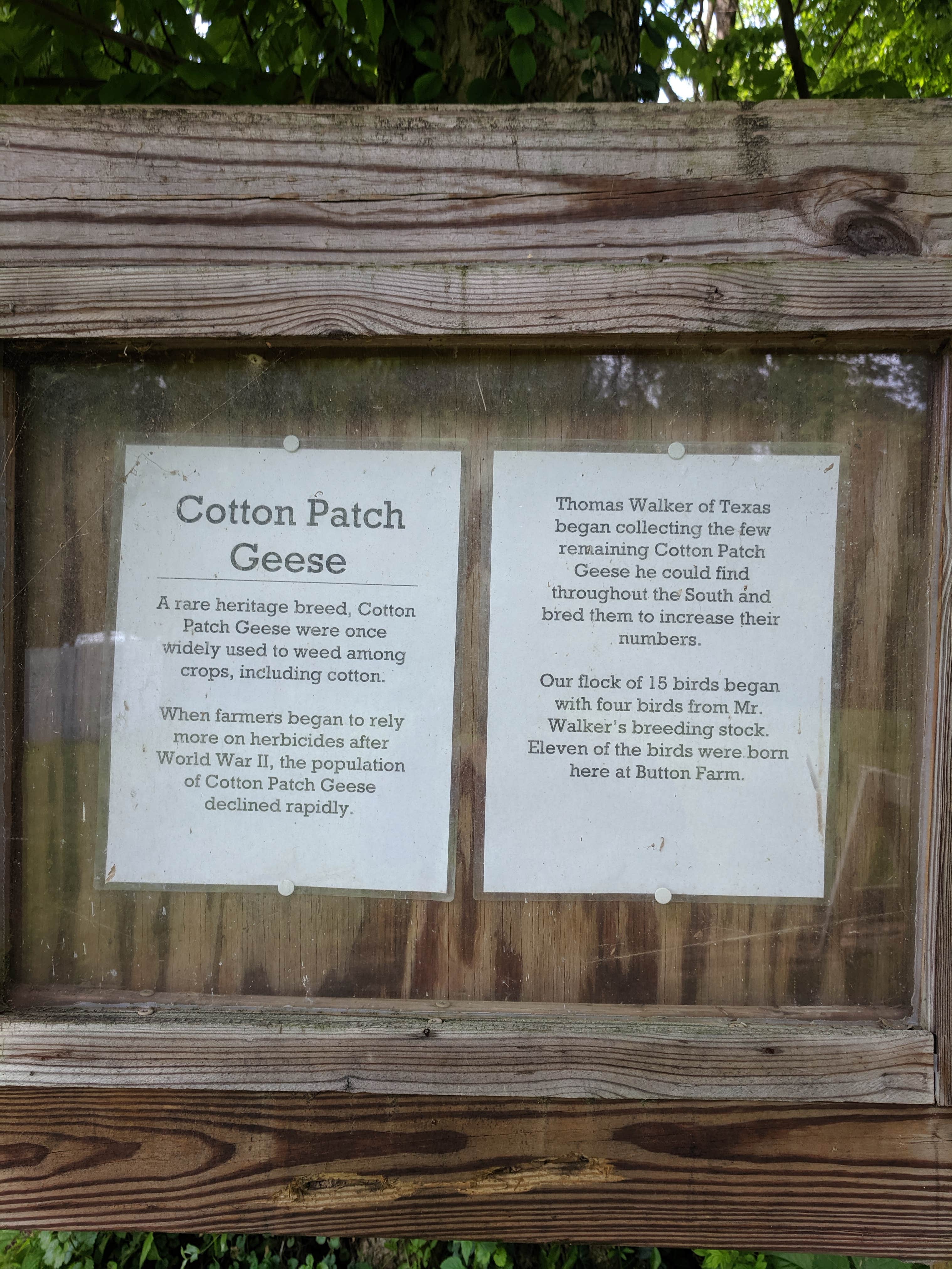 Button Farm Camping | Poolesville, MD