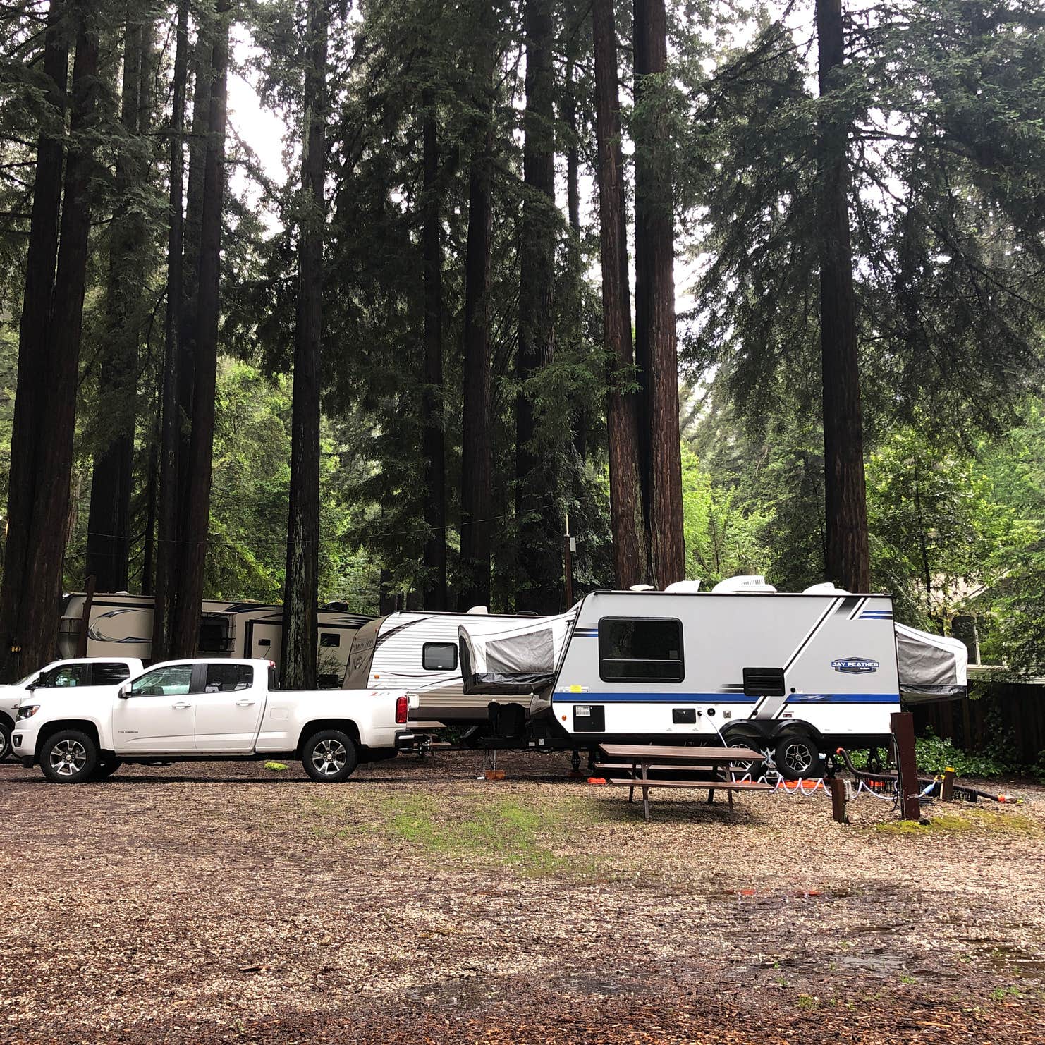 Santa Cruz Redwoods RV Resort Camping | The Dyrt