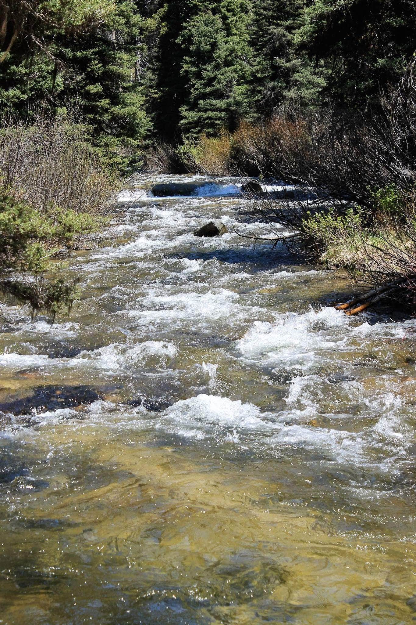 Bear Valley Camping | Lowman, ID