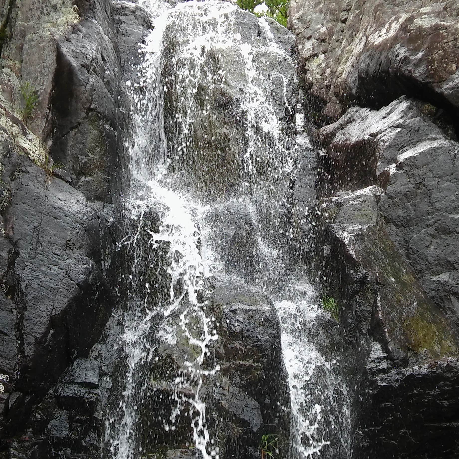 Taum Sauk Mountain State Park Camping | The Dyrt