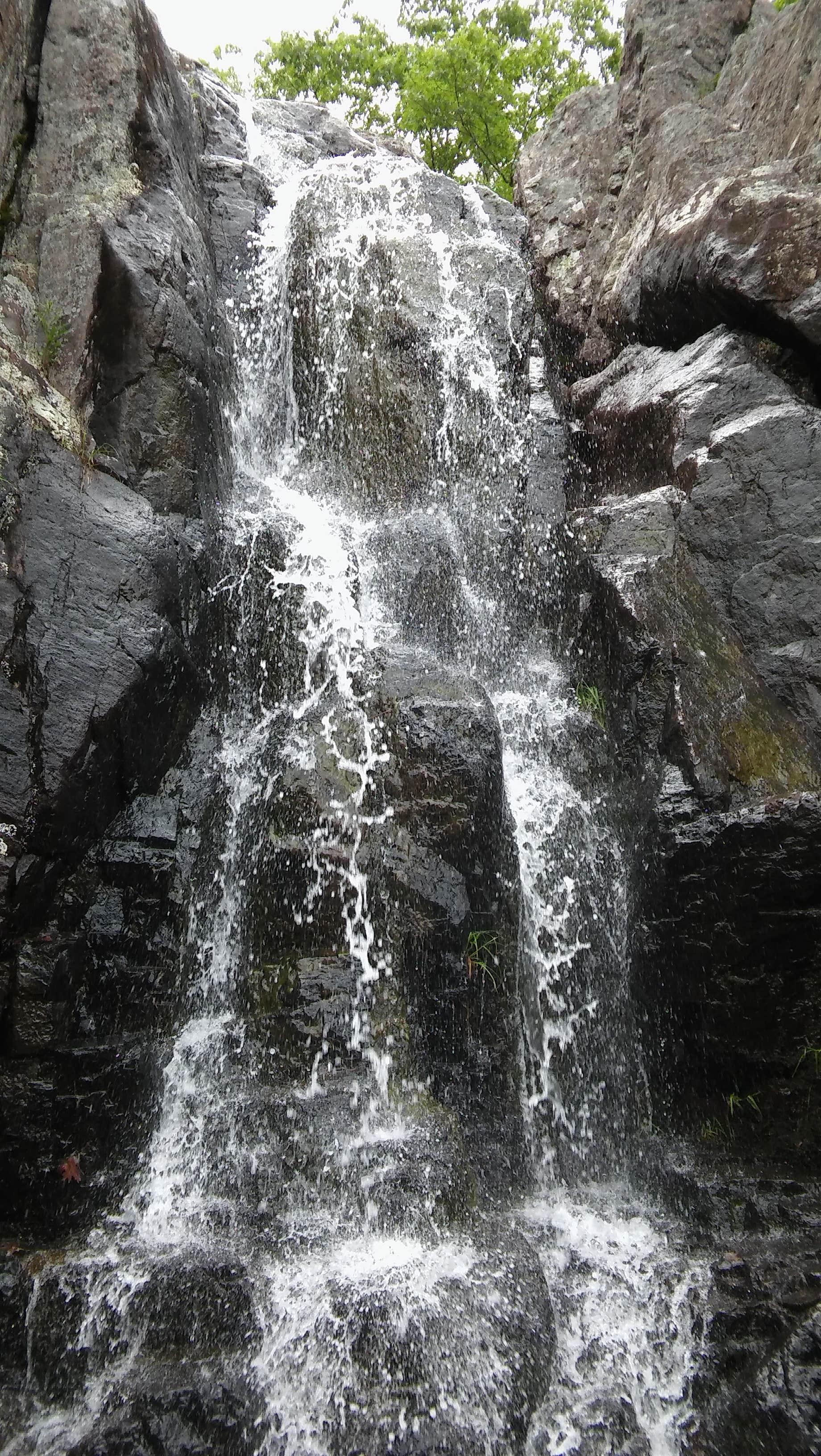 Taum Sauk Mountain State Park Campground | Middlebrook, MO