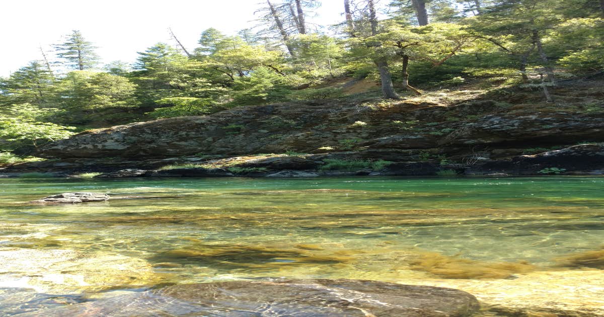 Store Gulch Campground | Selma, Oregon