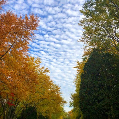 Boston / Cape Cod KOA (Middleboro) Camping | The Dyrt