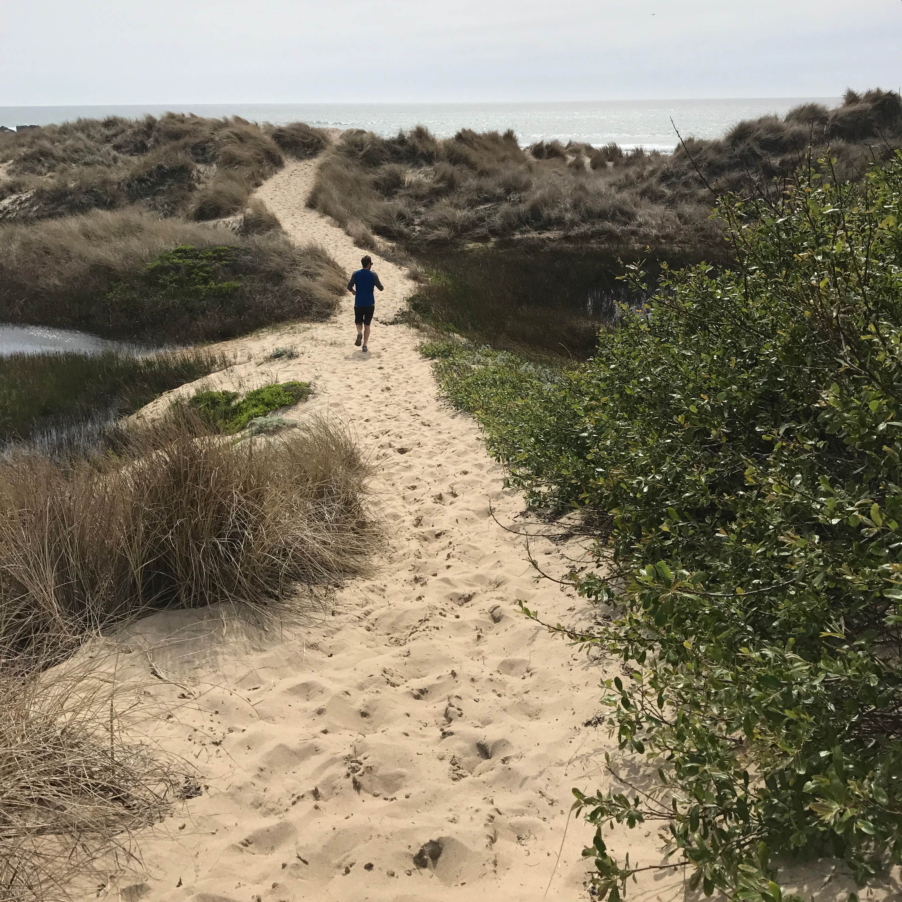 Santa Cruz North-Costanoa KOA Camping | The Dyrt