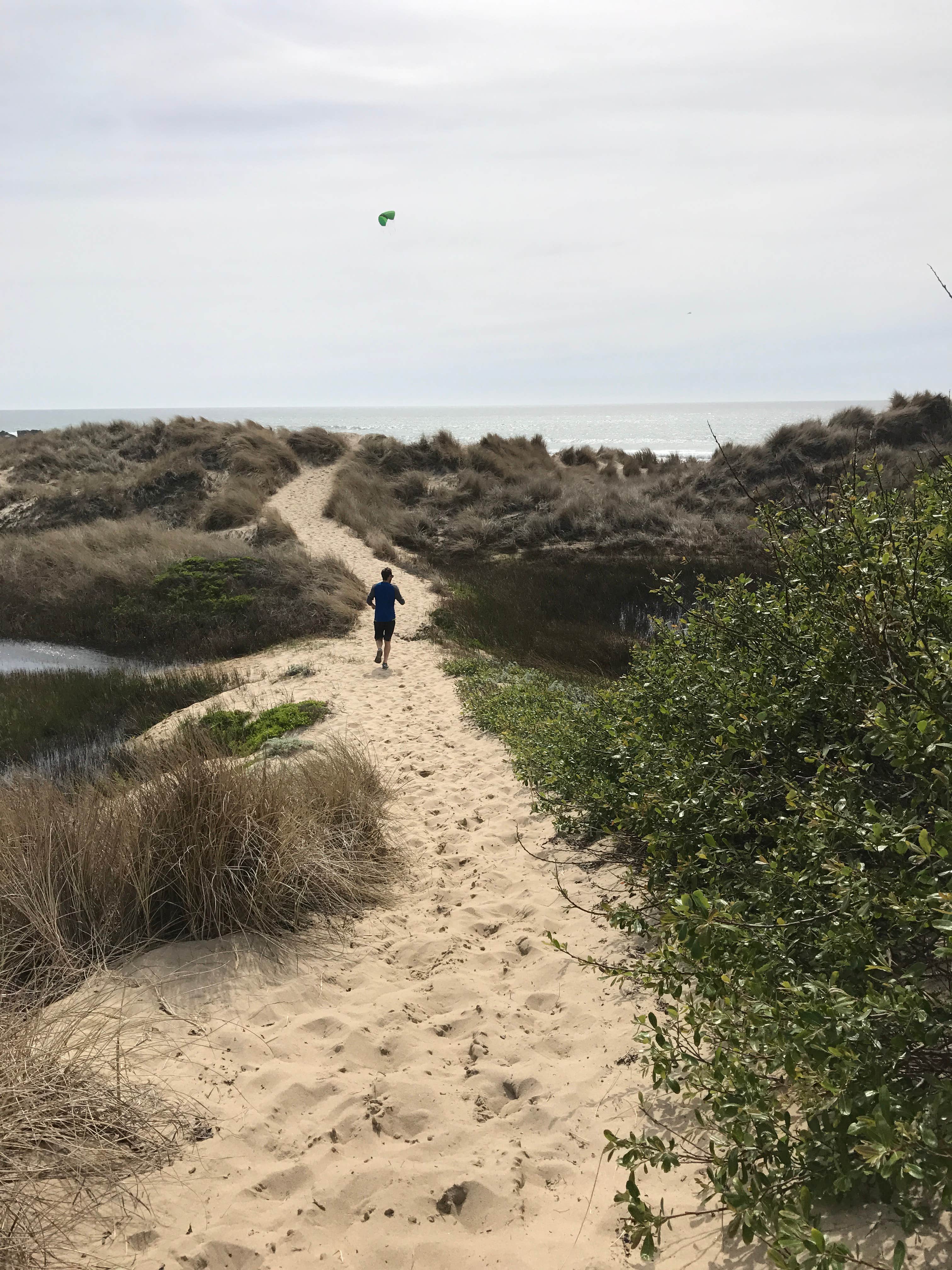 Santa Cruz North-Costanoa KOA Camping | Pescadero, CA