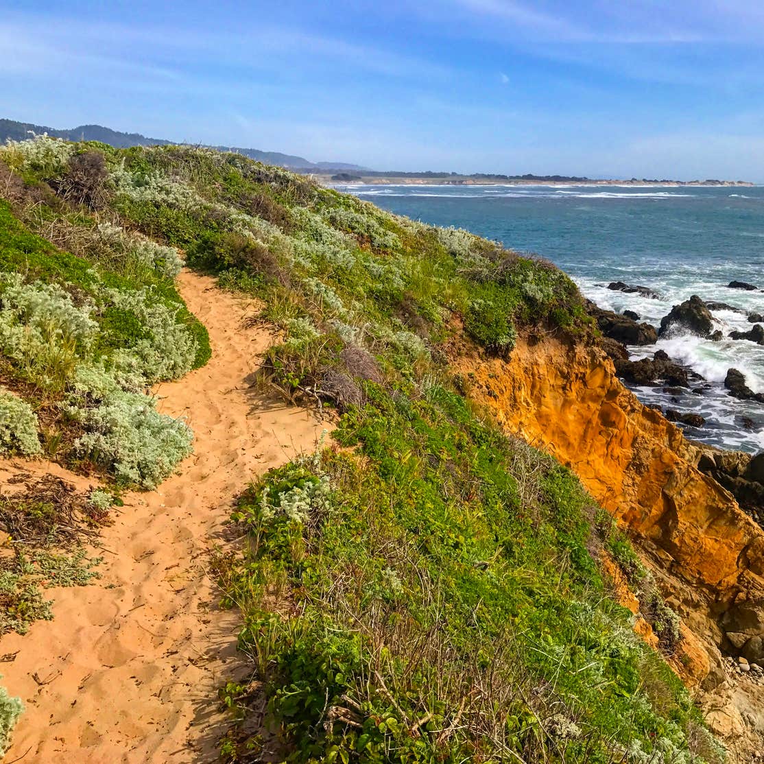 Santa Cruz North-Costanoa KOA Camping | The Dyrt