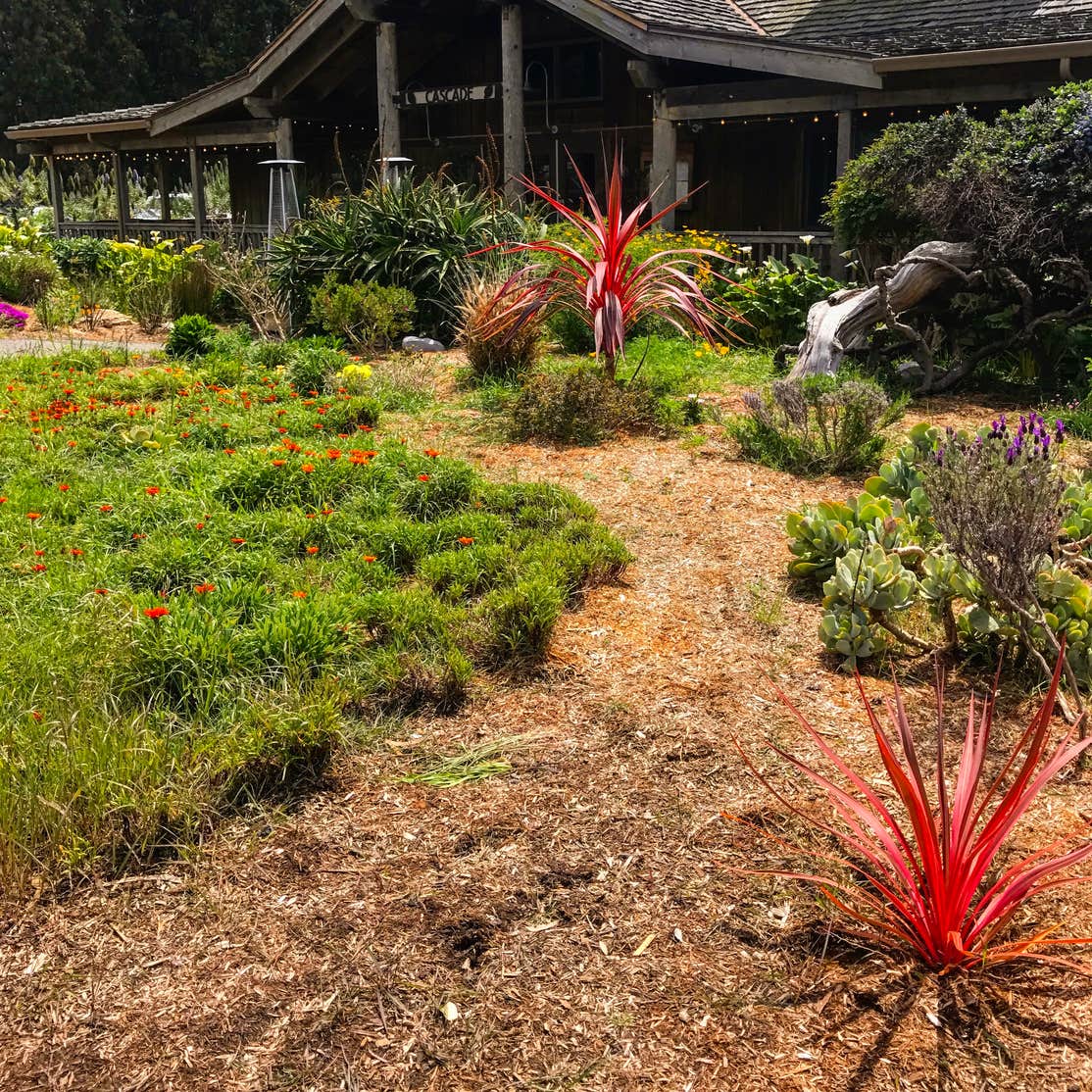 Santa Cruz North-Costanoa KOA Camping | The Dyrt