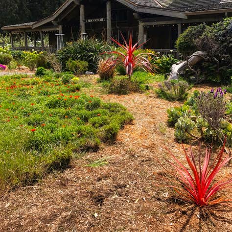 Santa Cruz North-Costanoa KOA Camping | The Dyrt