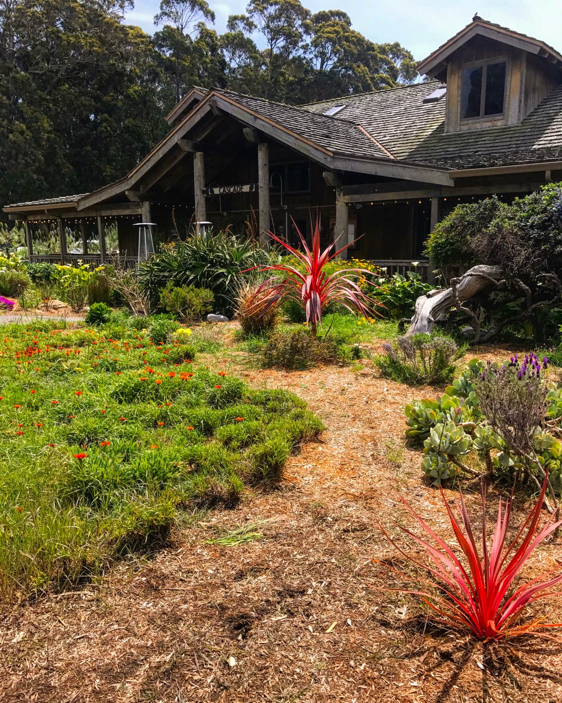 Santa Cruz North / Costanoa KOA | The Dyrt