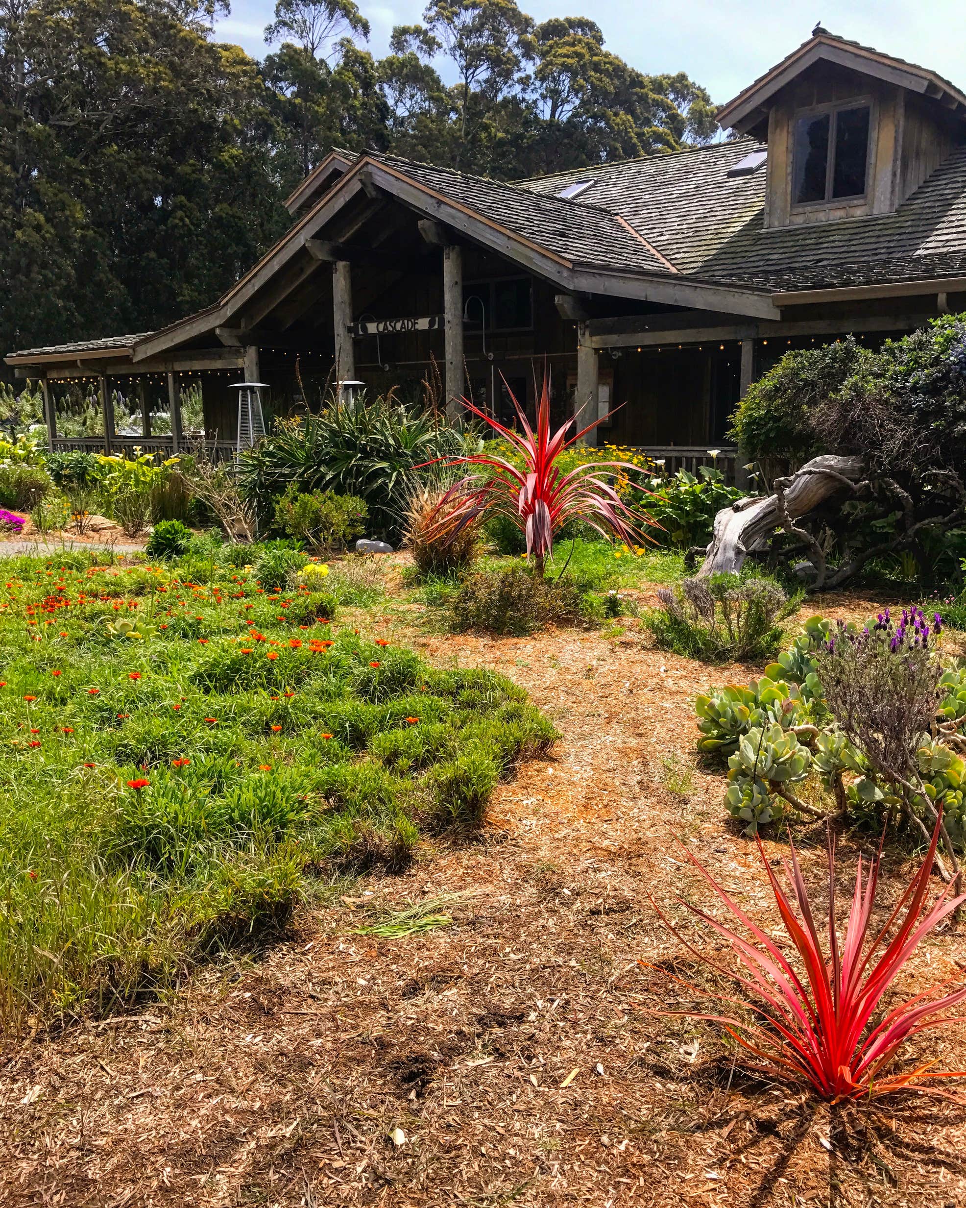 Santa Cruz North / Costanoa KOA | The Dyrt