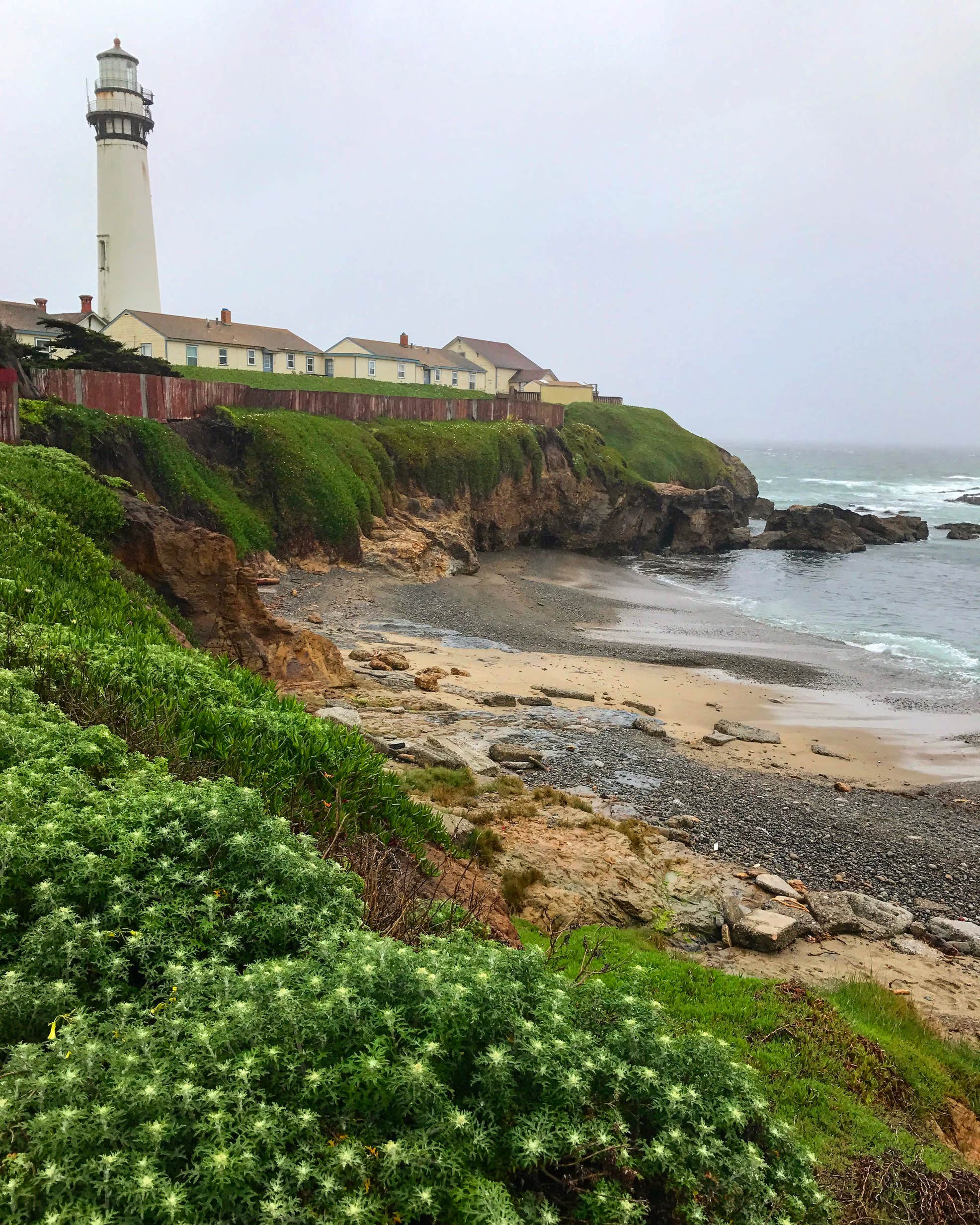 Santa Cruz North / Costanoa KOA | The Dyrt