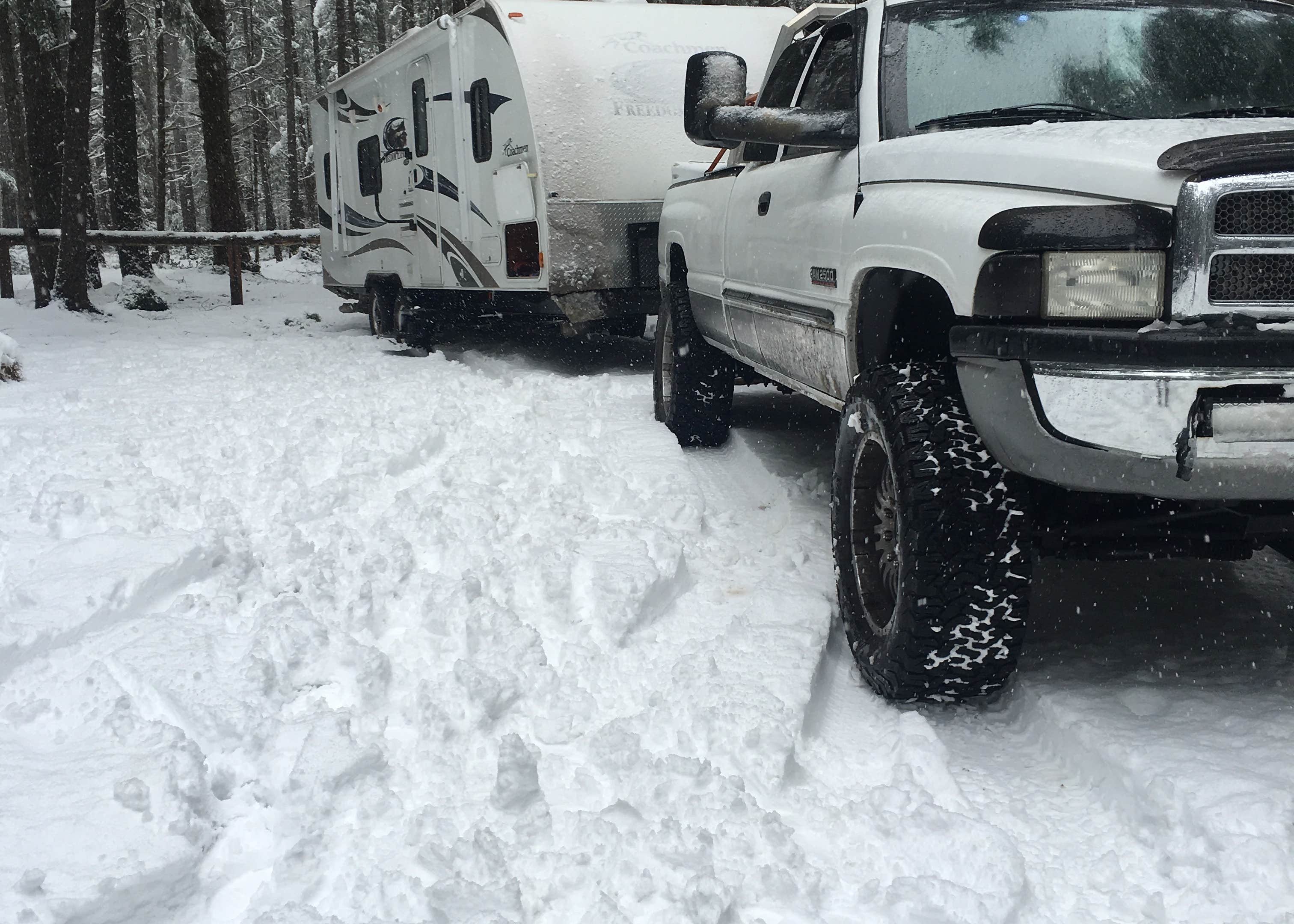 Tahuya River Campground Camping | The Dyrt