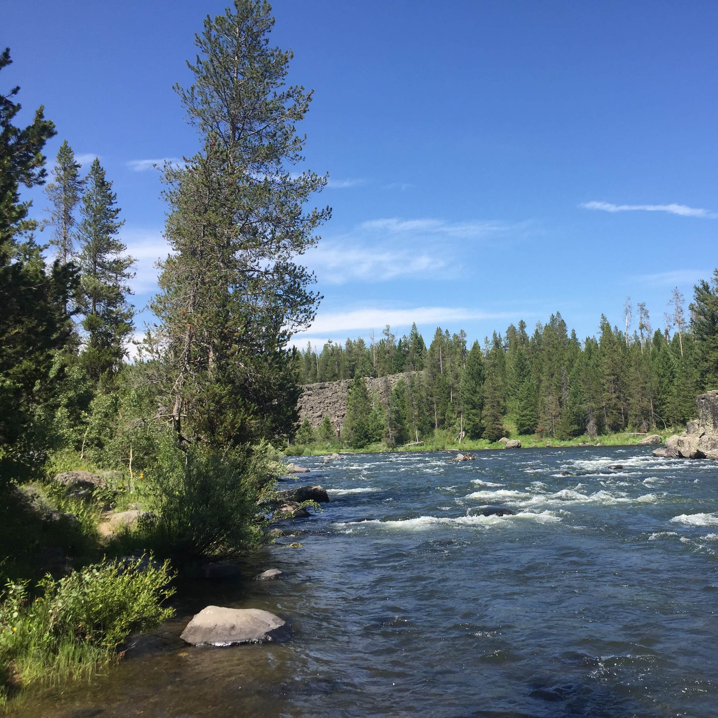 Riverside Campground Camping | The Dyrt