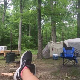 Oak Ridge Campground - Prince William Forest Park Camping | The Dyrt