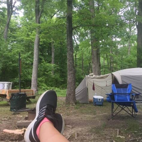 Oak Ridge Campground - Prince William Forest Park Camping | The Dyrt