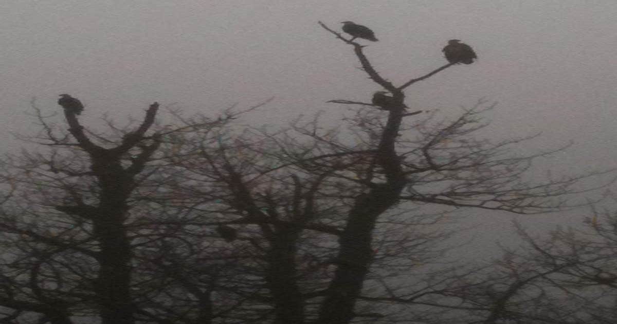 Buskin River State Rec Area Camping | Kodiak, AK