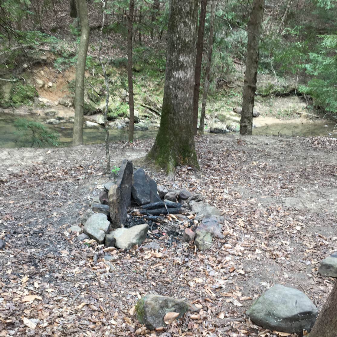 Sipsey Wilderness Backcountry Site (Trail 207 Site A) Camping ...