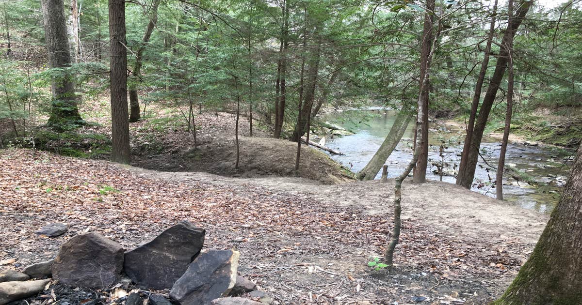 Sipsey Wilderness Backcountry Site (Trail 207 Site A) Camping ...