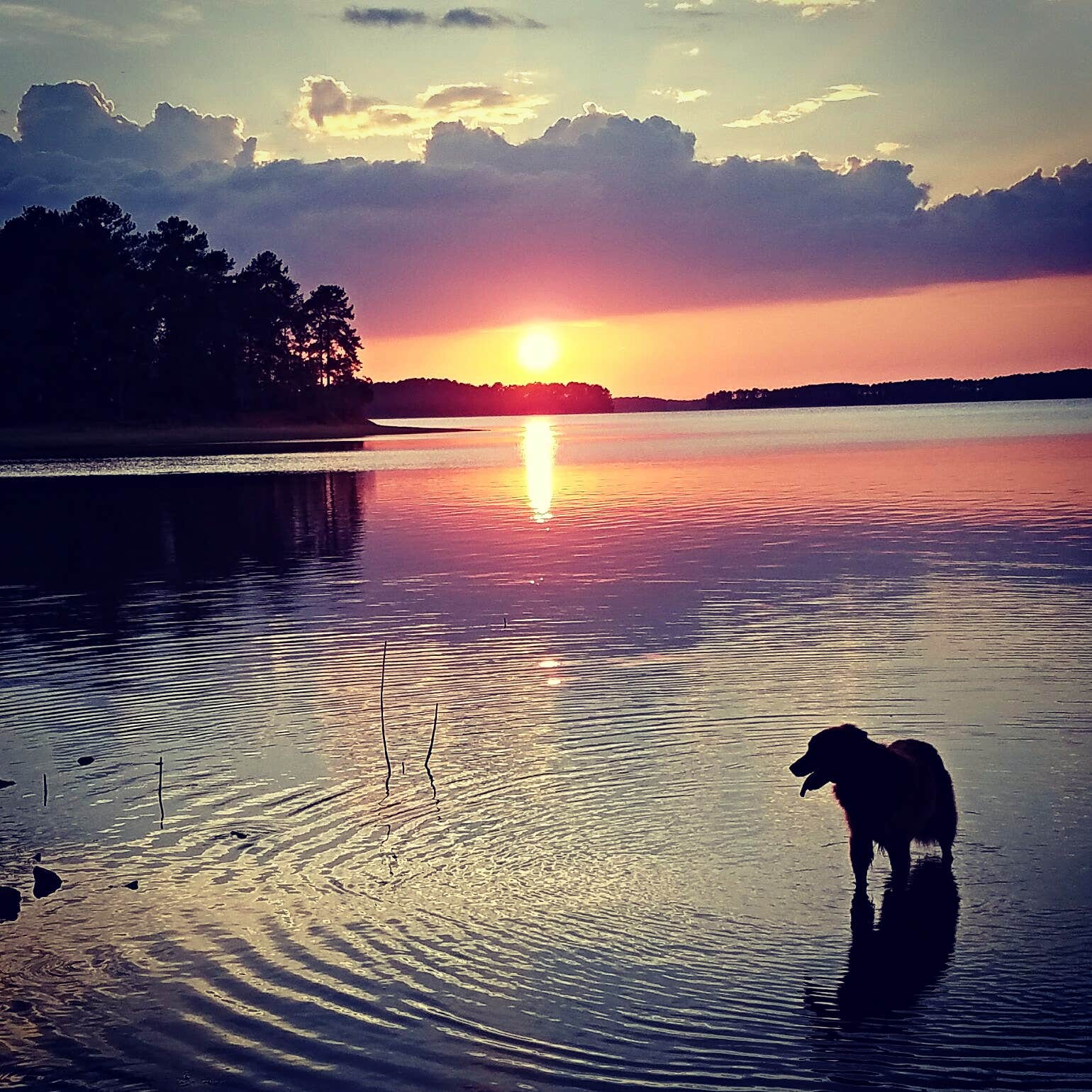 Hamilton Branch State Park Campground | Plum Branch, SC