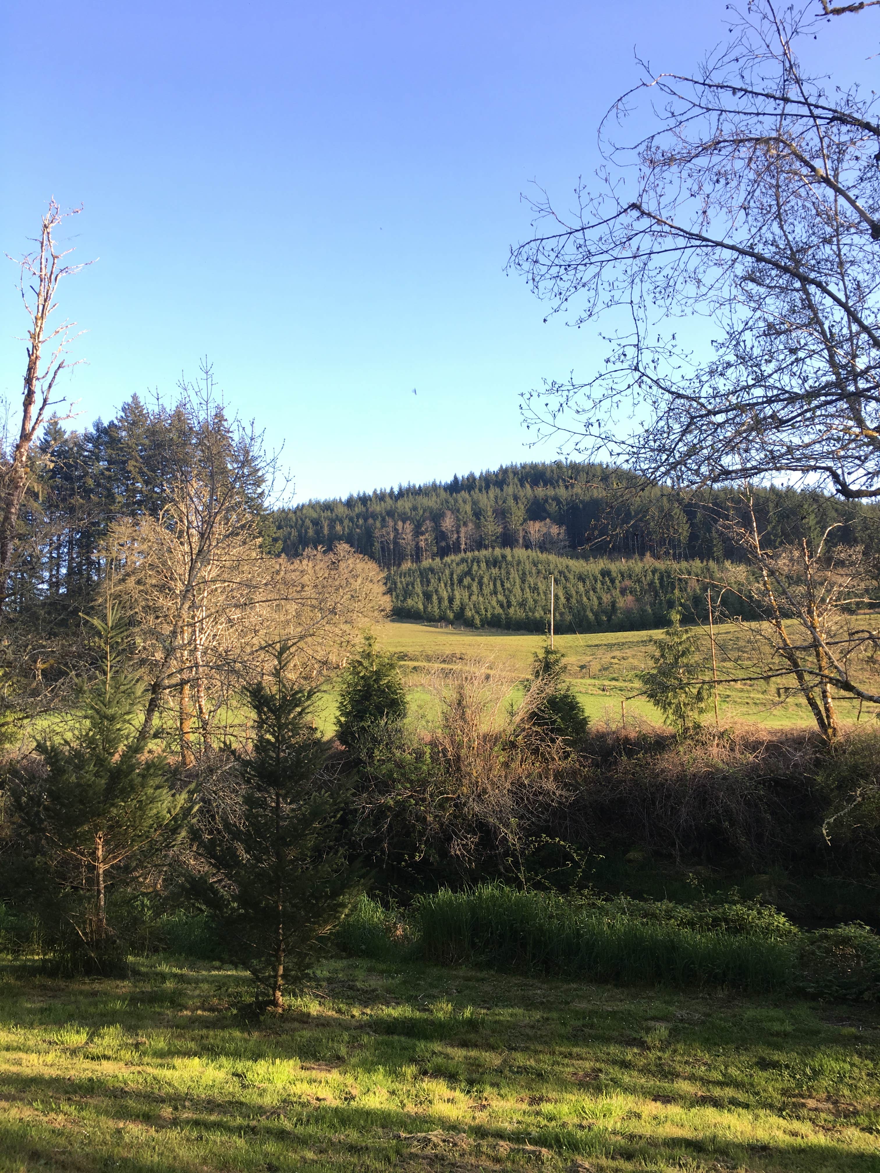 Big Elk Campground | Eddyville, OR